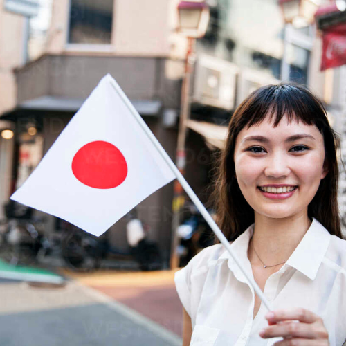 Japanese Translation DTIS Kenya